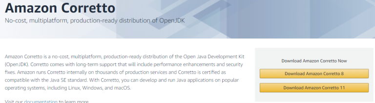 Install Amazon Corretto and IntelliJ IDEA in Windows - YippeeCode